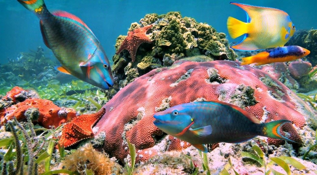 15 THINGS TO DO IN CANCUN